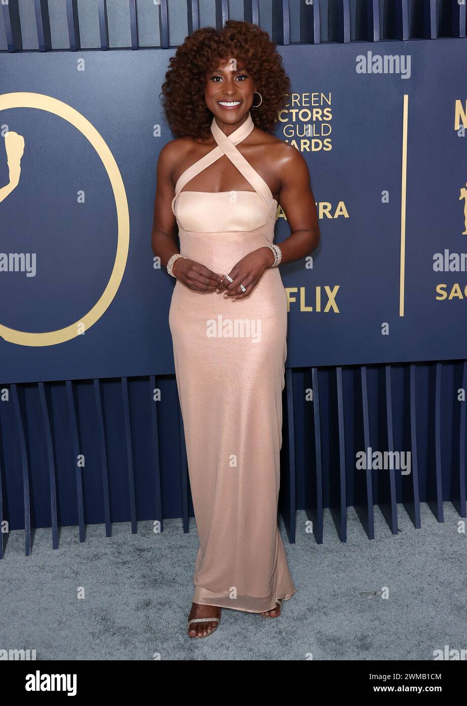 LOS ANGELES, CALIFORNIA, USA - FEBRUARY 24: Issa Rae wearing Suzanne ...