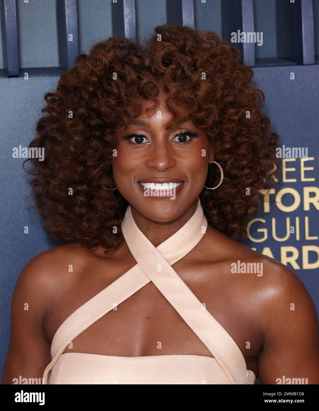 LOS ANGELES, CALIFORNIA, USA - FEBRUARY 24: Issa Rae wearing Suzanne ...