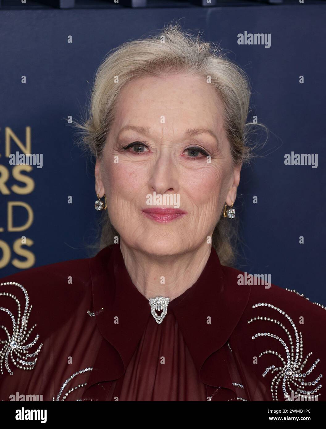 LOS ANGELES, CALIFORNIA, USA - FEBRUARY 24: Meryl Streep wearing Prada ...