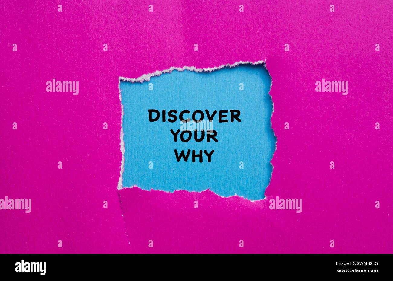 Discover your why words written on pink torn paper with blue background ...