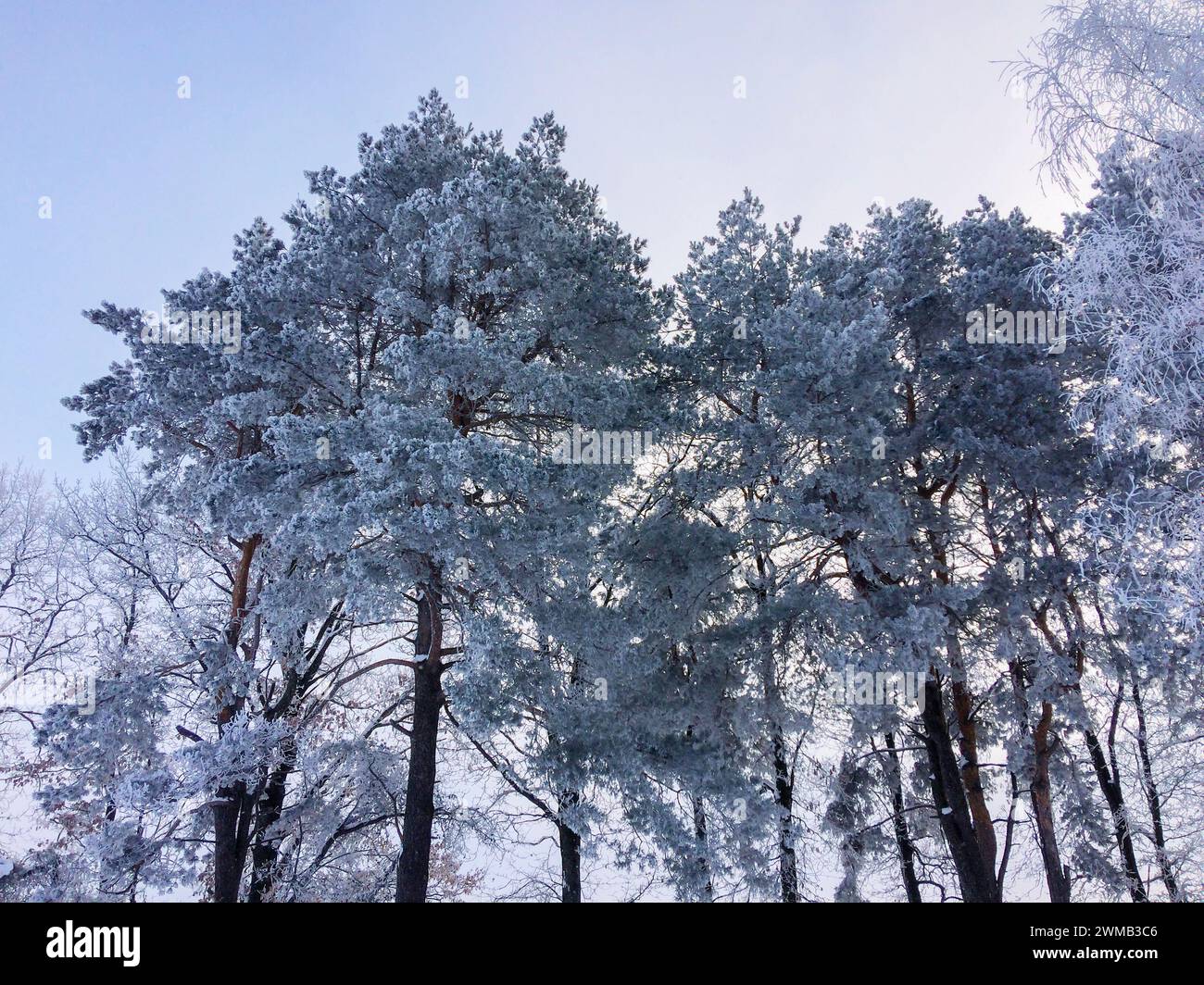 Early morning captures hi-res stock photography and images - Alamy