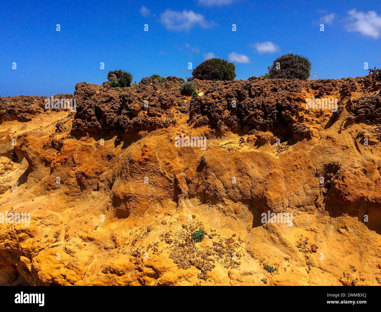 The image shows a rugged, brown rocky terrain with sparse green ...