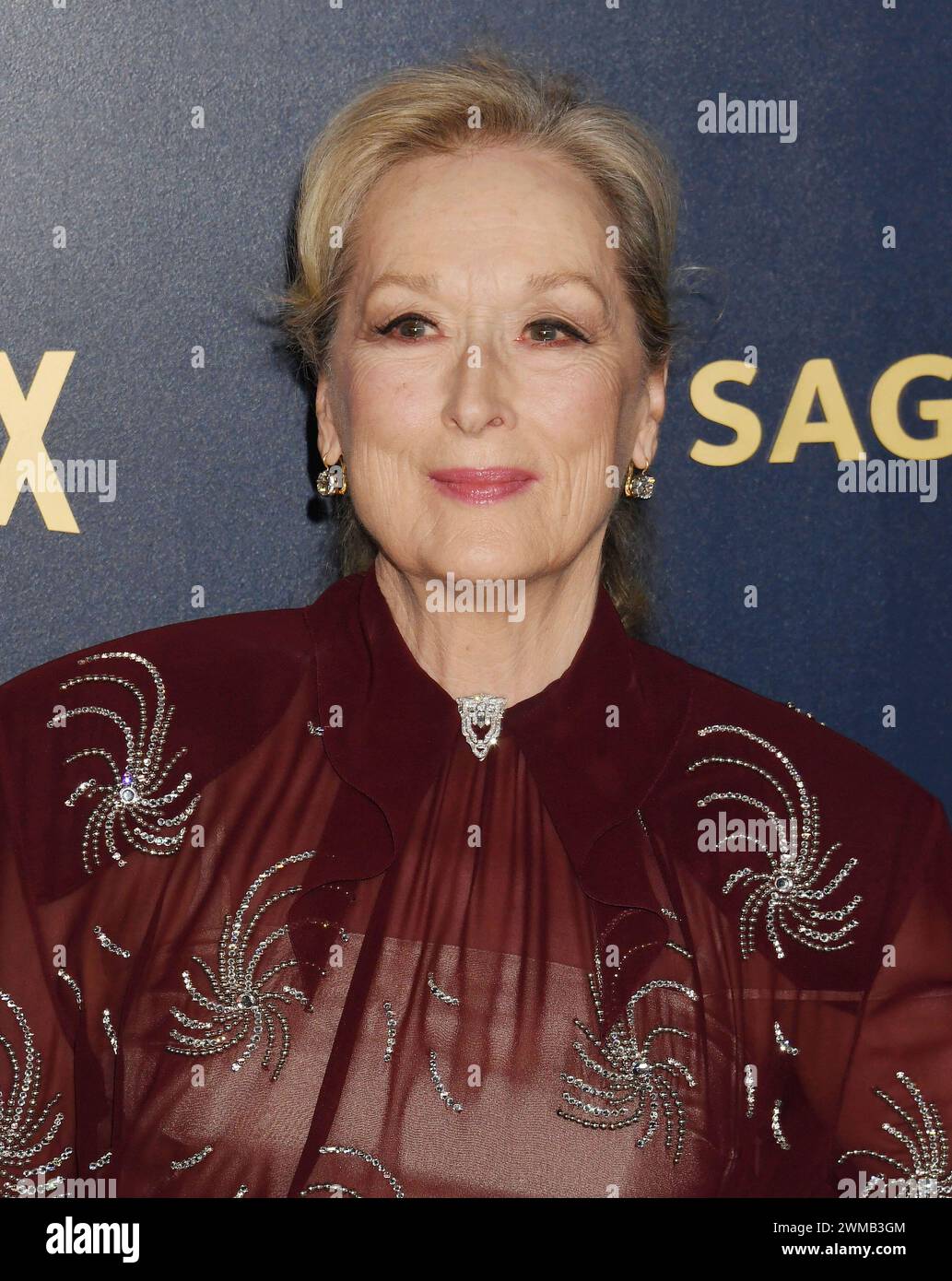 Streep screen actors guild awards hi-res stock photography and images ...