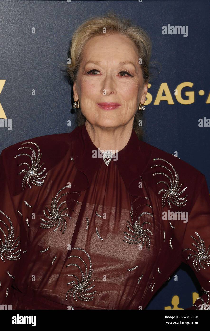 LOS ANGELES, CALIFORNIA - FEBRUARY 24: Meryl Streep attends the 30th ...