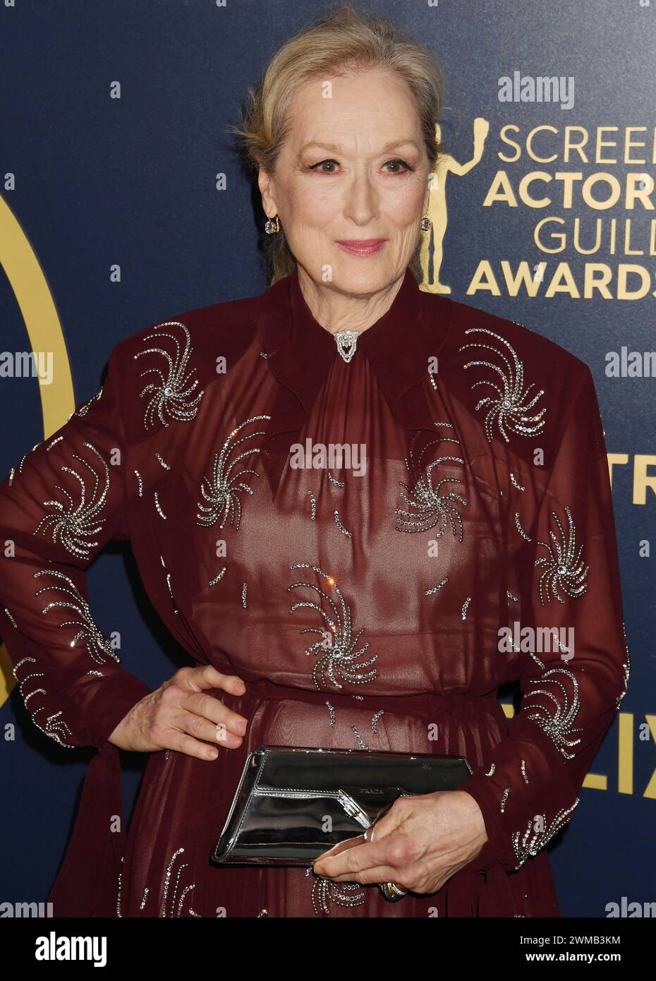 LOS ANGELES, CALIFORNIA - FEBRUARY 24: Meryl Streep attends the 30th ...