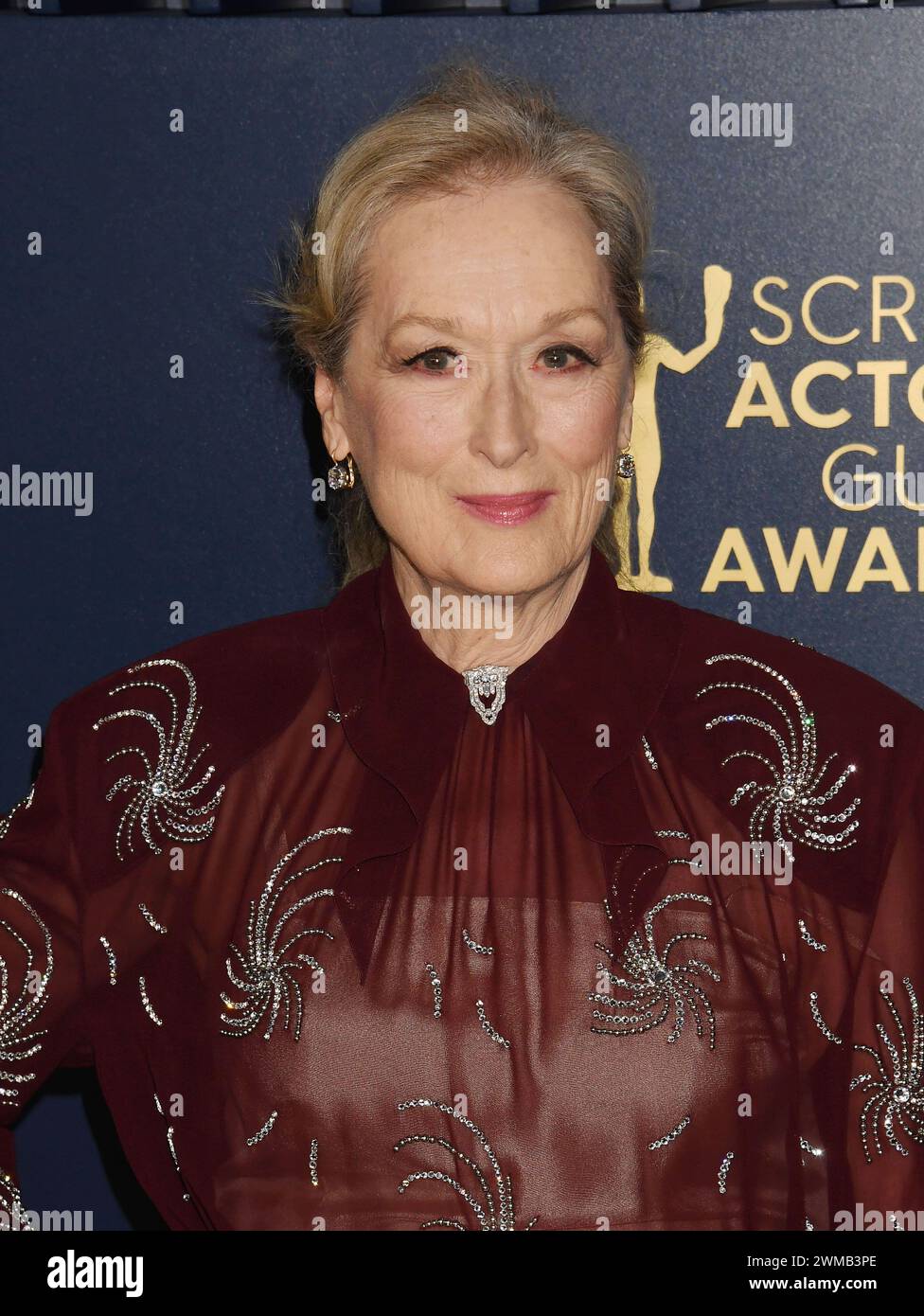 LOS ANGELES, CALIFORNIA - FEBRUARY 24: Meryl Streep attends the 30th ...
