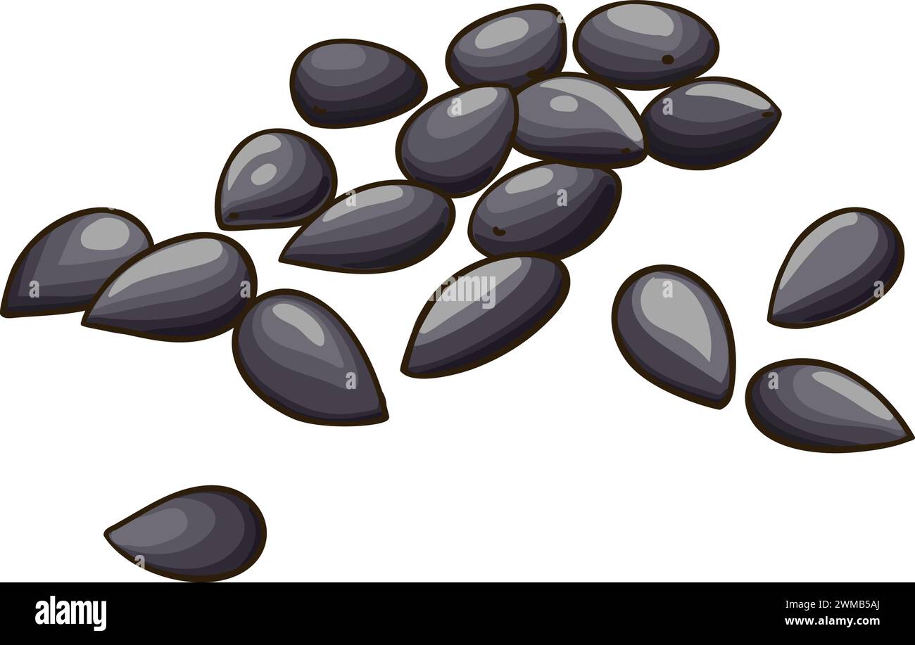 Black Sesame Seeds Colored Illustration Stock Vector Image & Art - Alamy