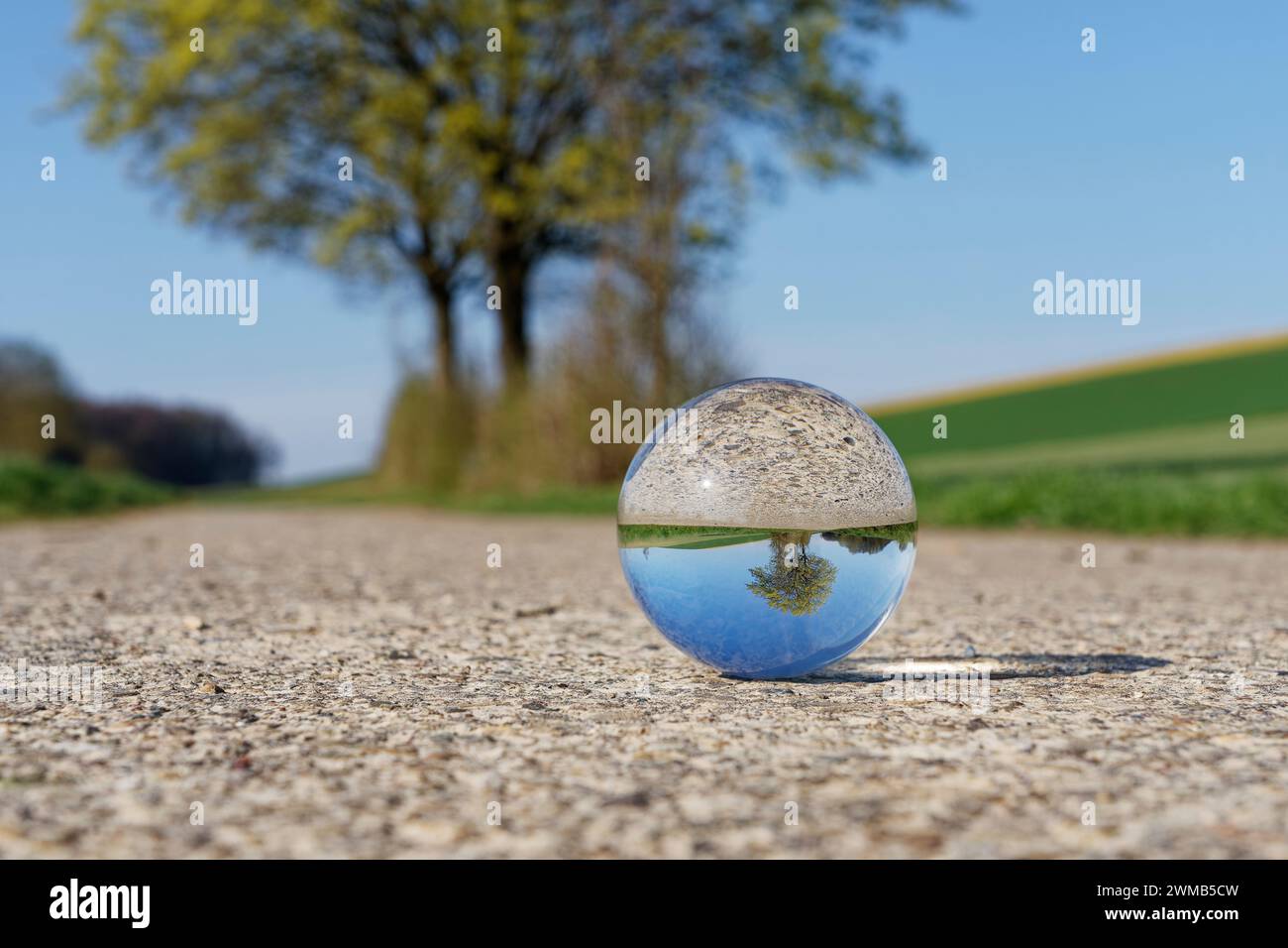 The world is upside down. Spring landscape photographed through a lens ...