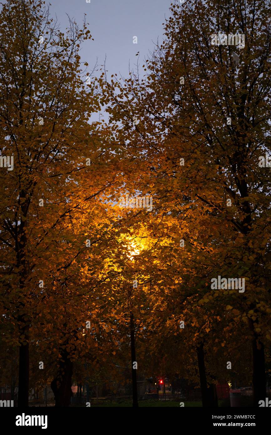 Illuminating paving hi-res stock photography and images - Alamy