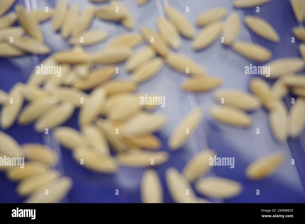 Stock Photo of vegetable and fruit grains Stock Photo - Alamy