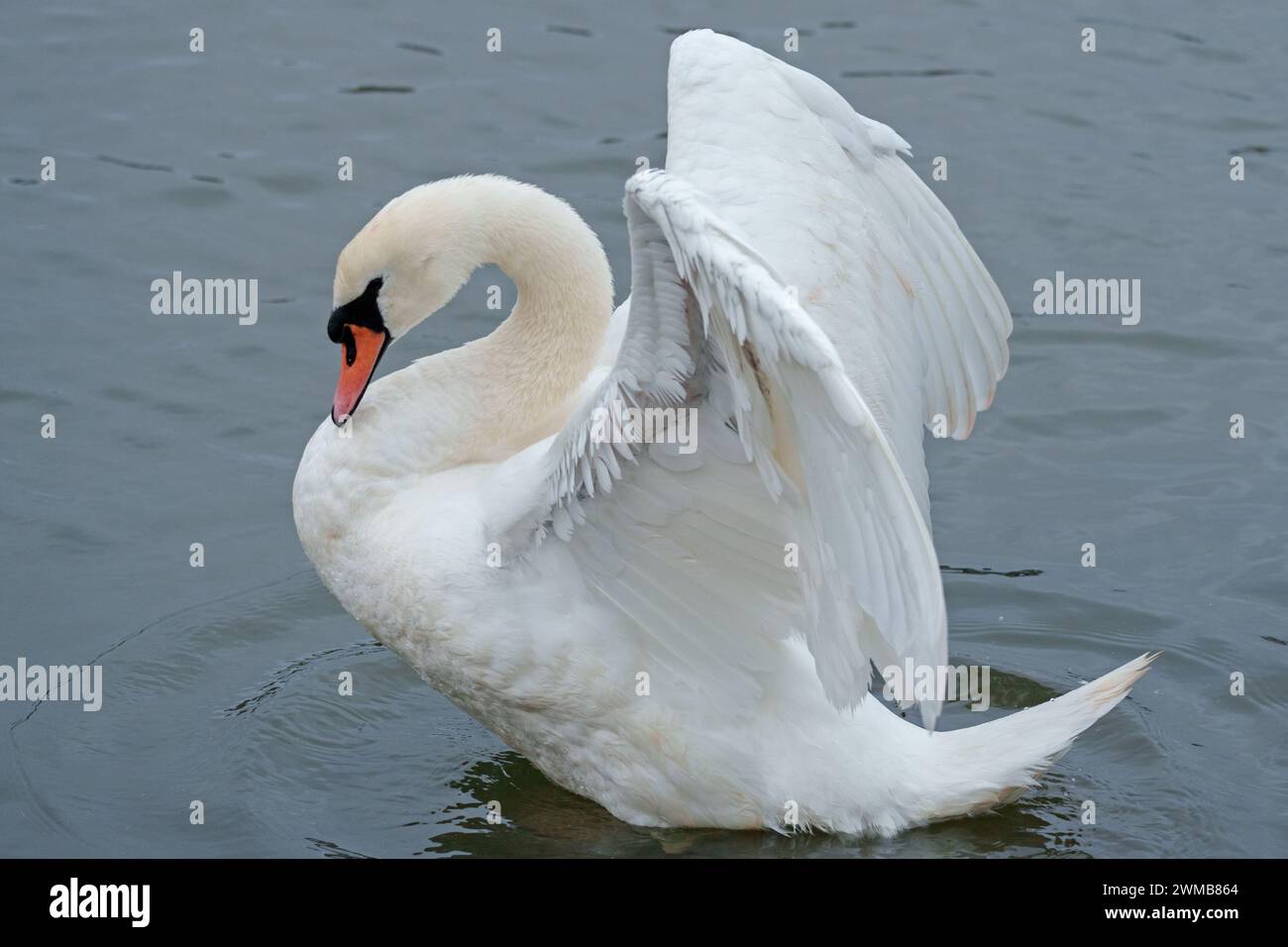 Riverside park southampton hi-res stock photography and images - Alamy