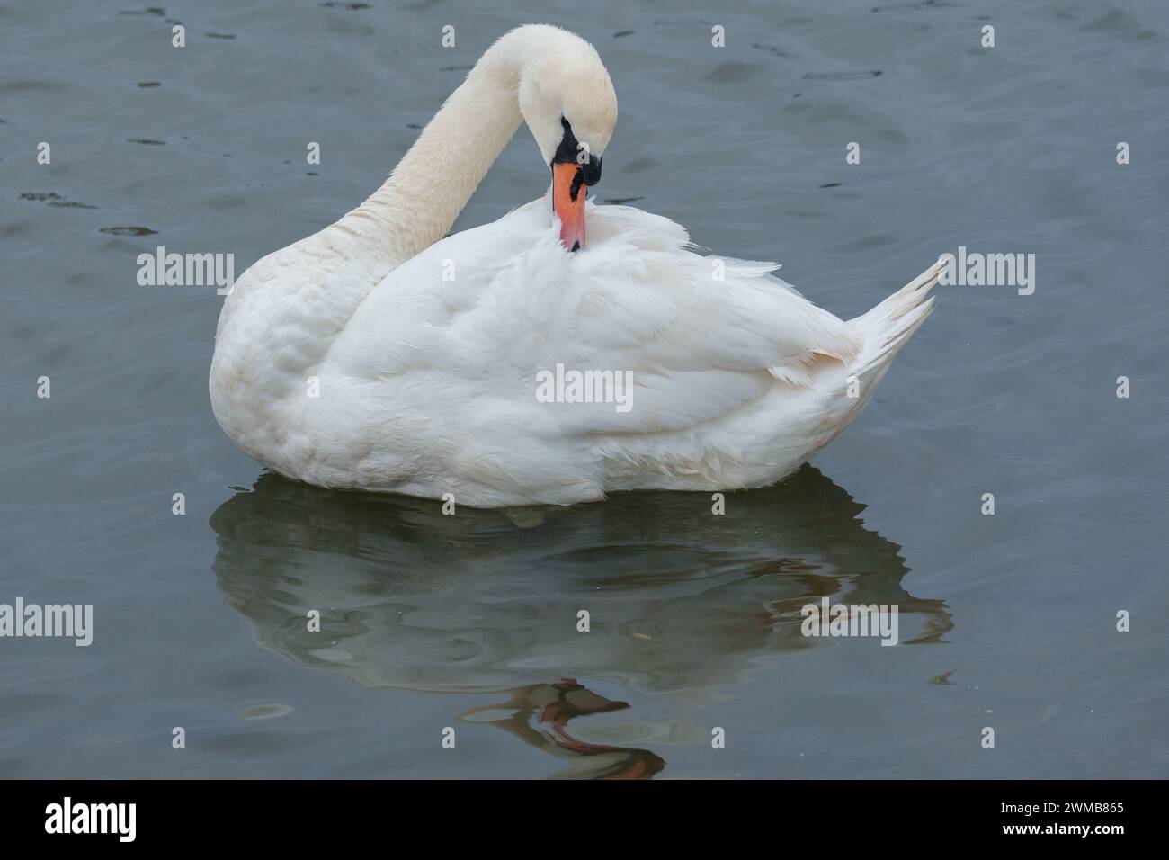 Riverside park southampton hi-res stock photography and images - Alamy
