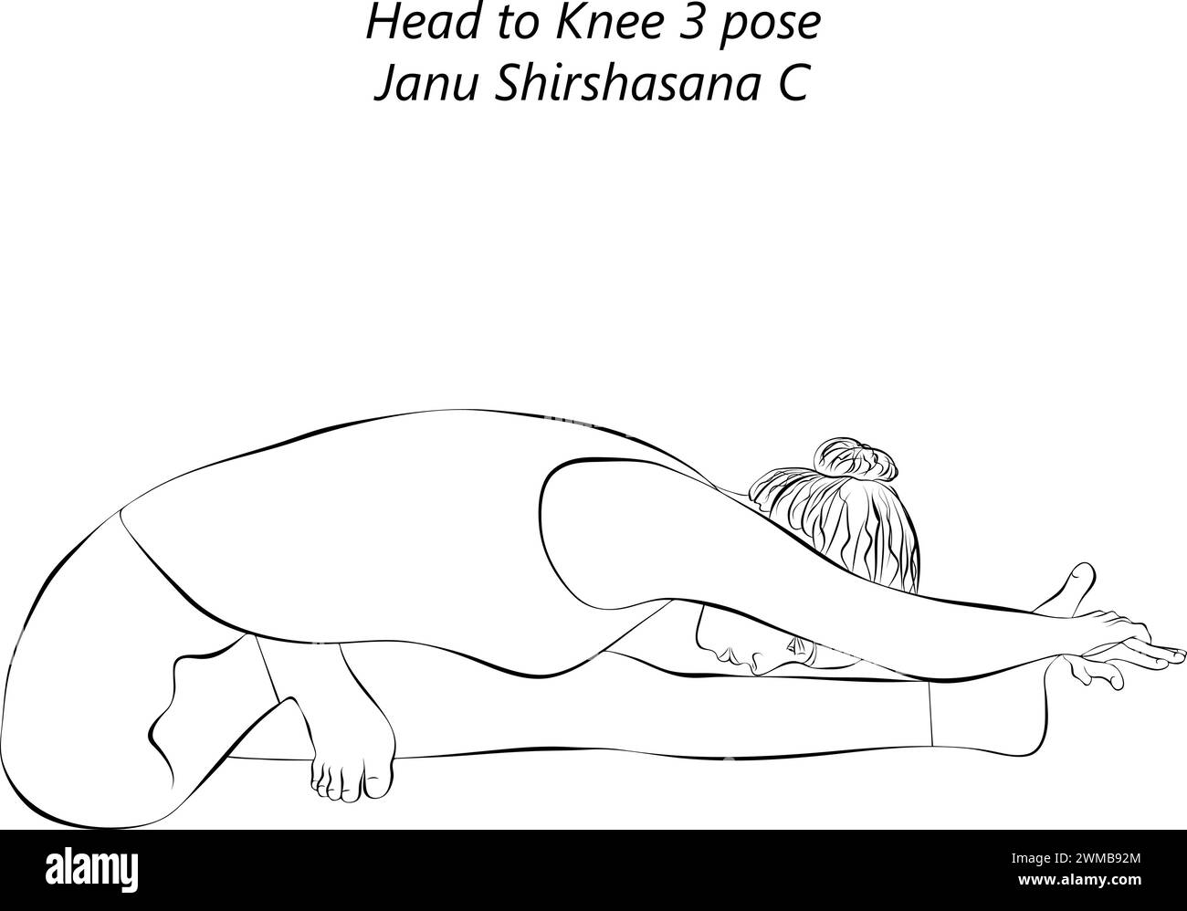 Sketch of woman doing yoga Janu Shirshasana C. Head to Knee 3 pose ...