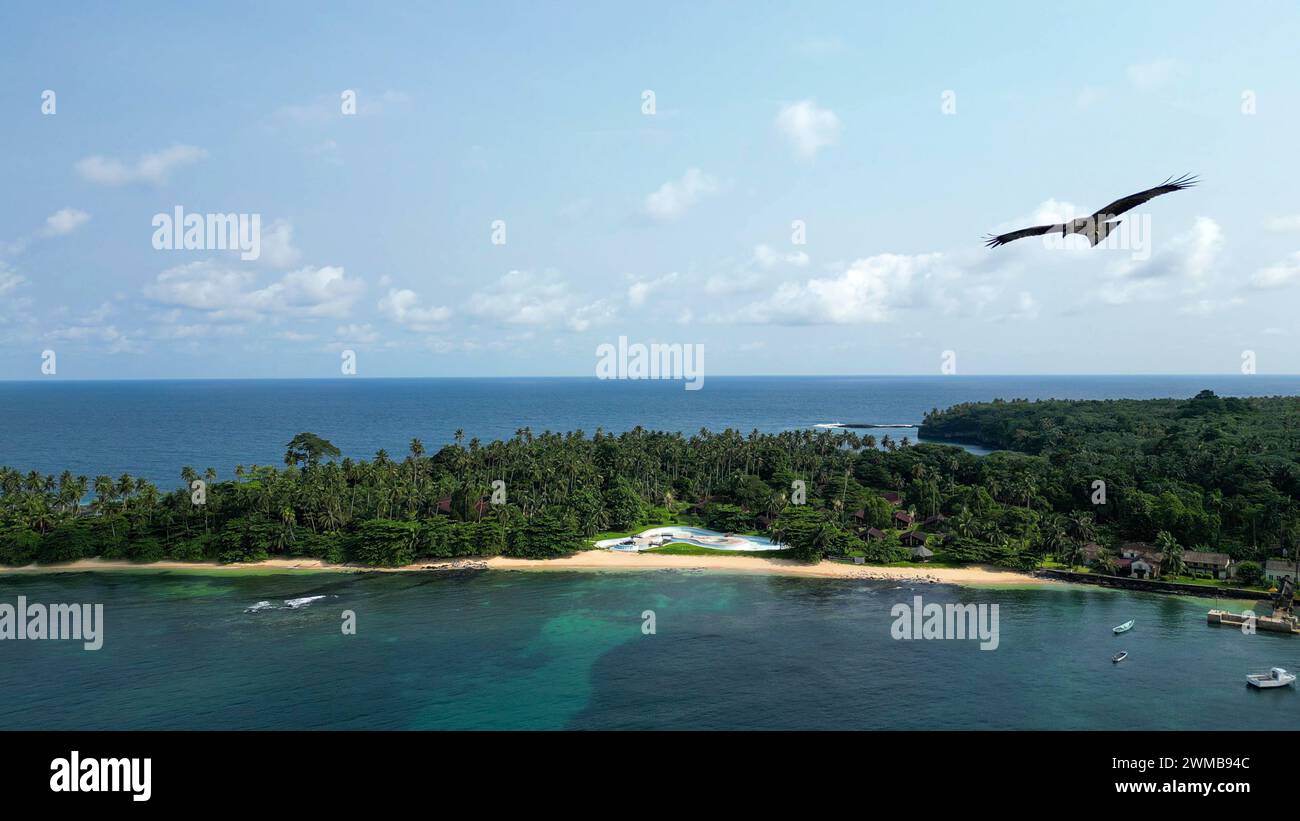 Aerial view of a Falcon flying on the coast of Sao Tome, West Africa ...