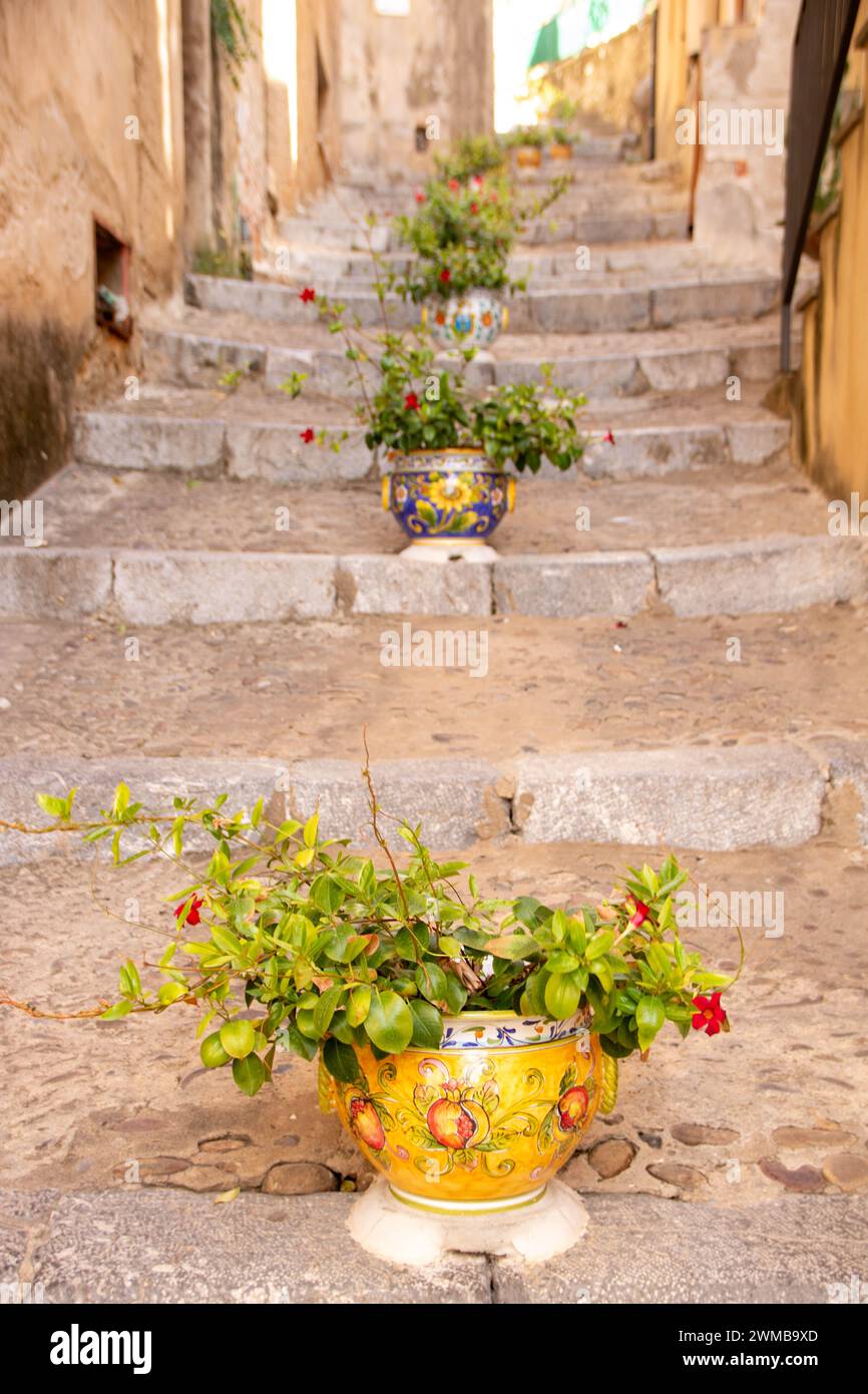 plant pots in a row on a staircase at Cefalu , Palermo , Sicily, Italy ...