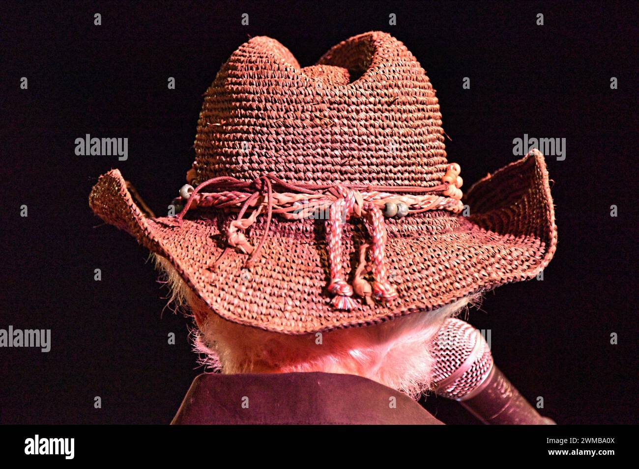 Country Music and Cowboy Singer Stock Photo - Alamy