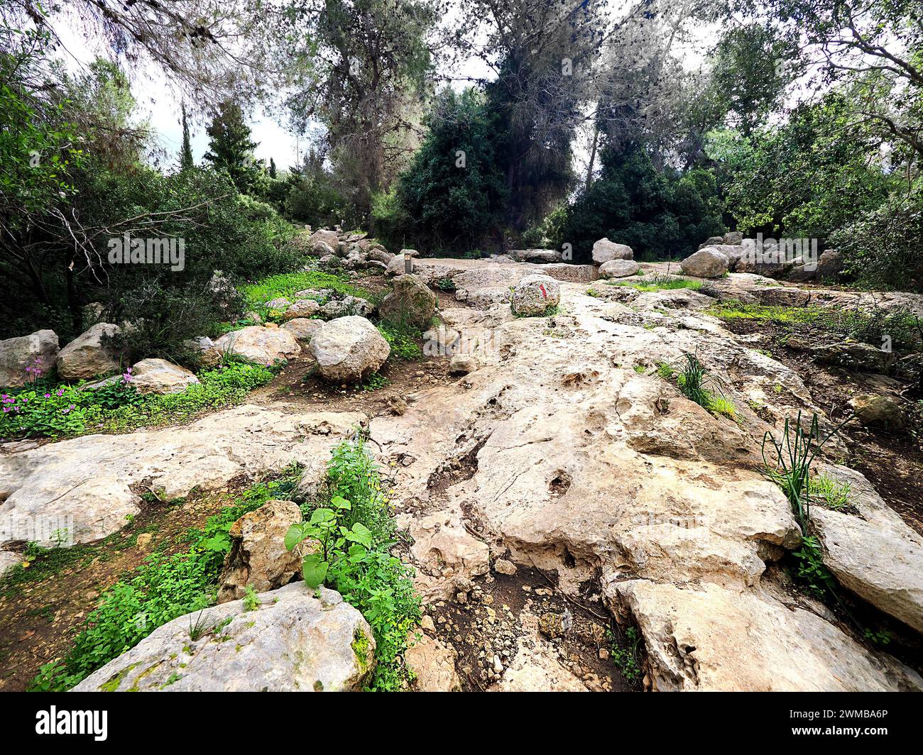 Britannia park hi-res stock photography and images - Alamy