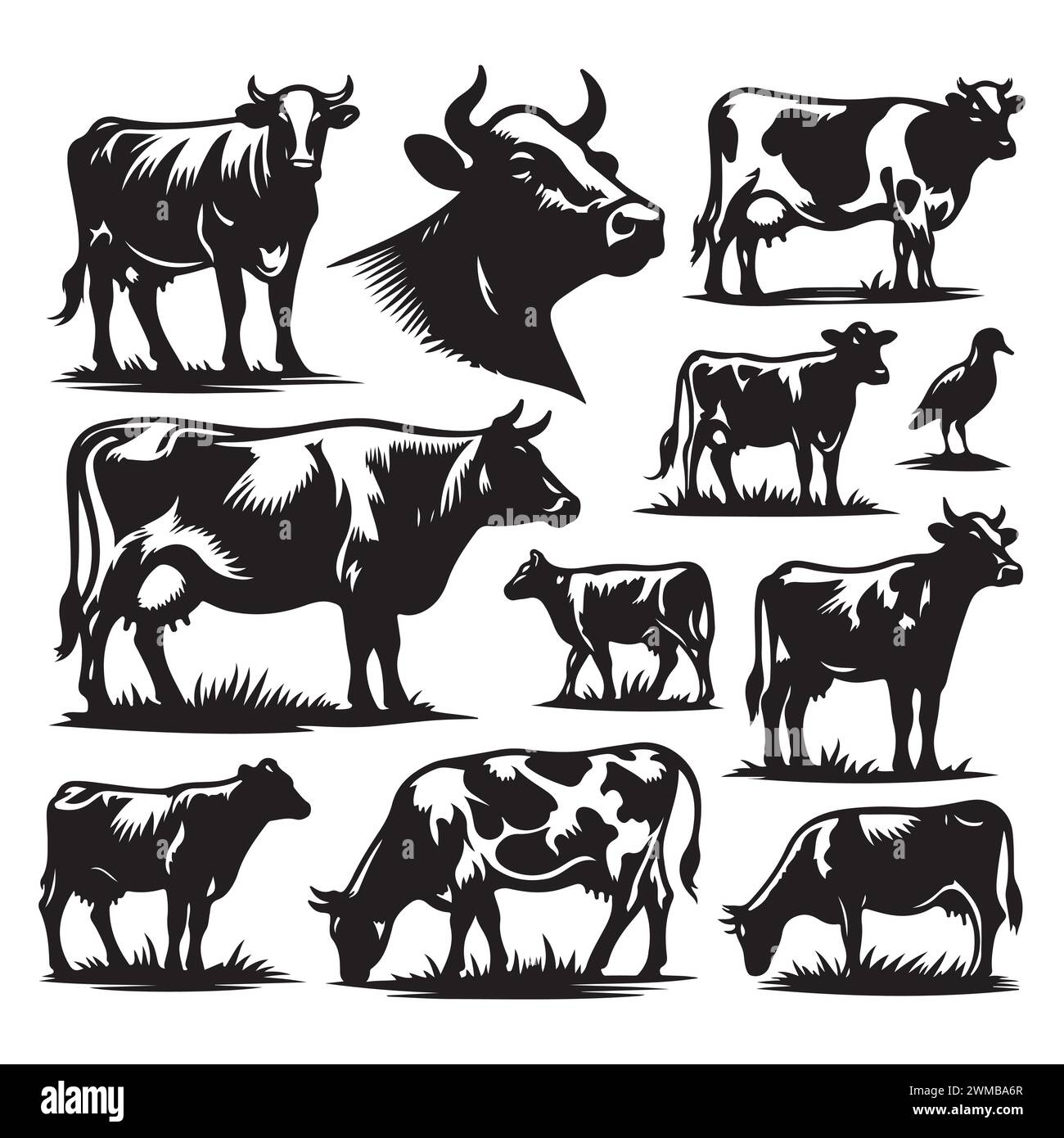 Set of cow silhouettes isolated on a white background, Vector ...