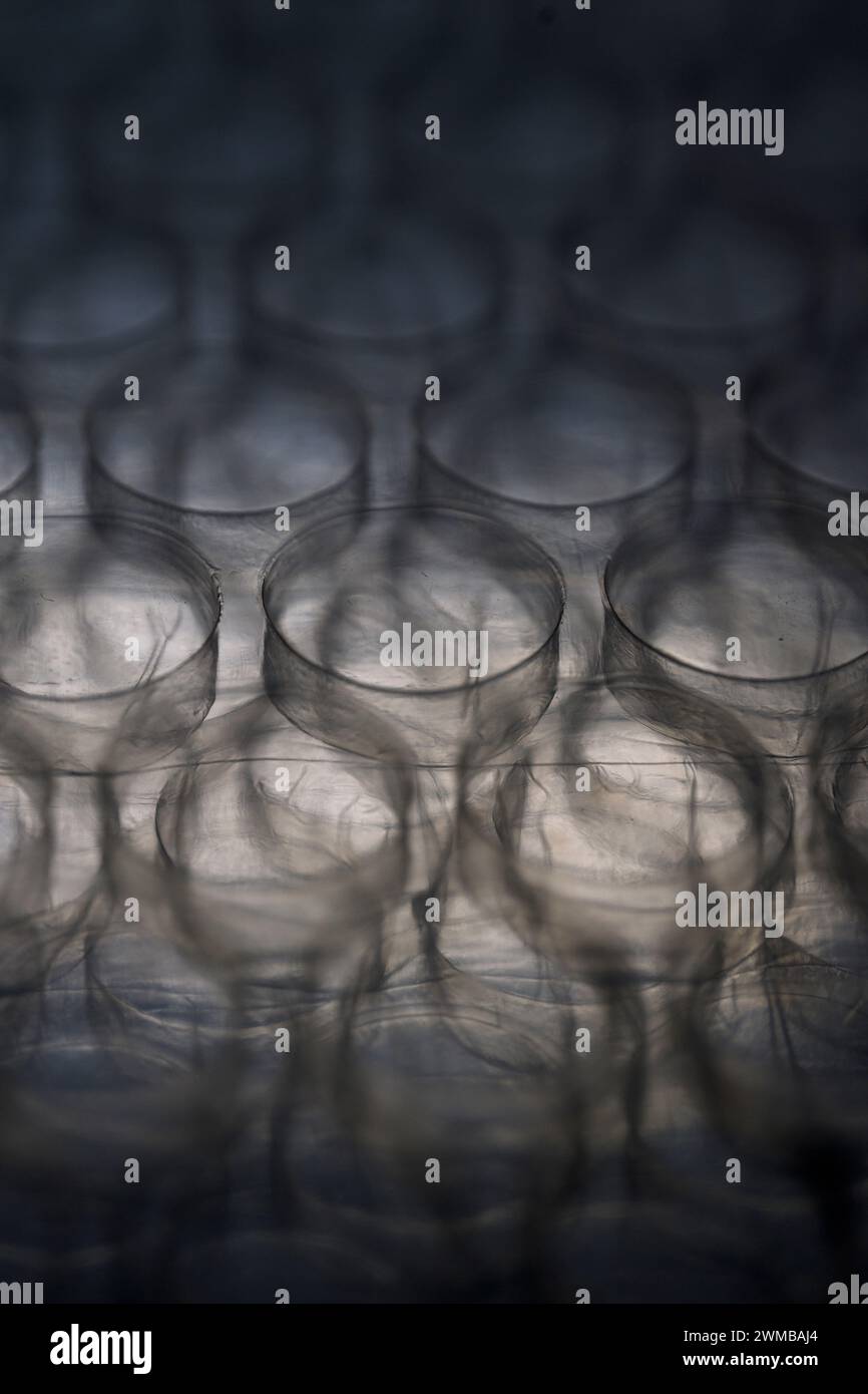 detail of transparent bubble wrap in dark tone vertically Stock Photo - Alamy