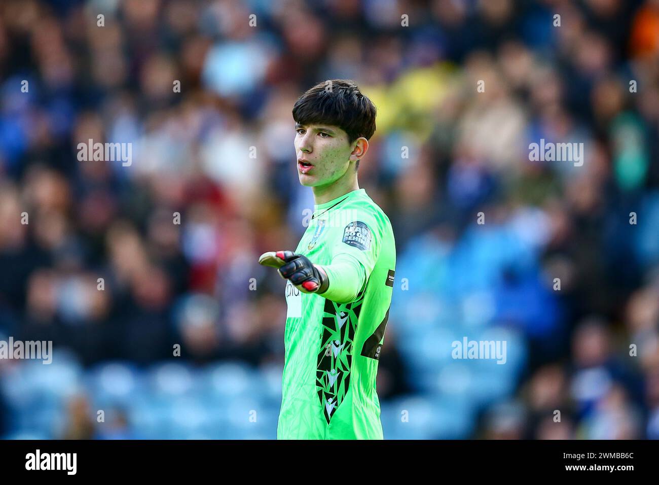 Hillsborough Stadium, Sheffield, England - 24th February 2024 James ...