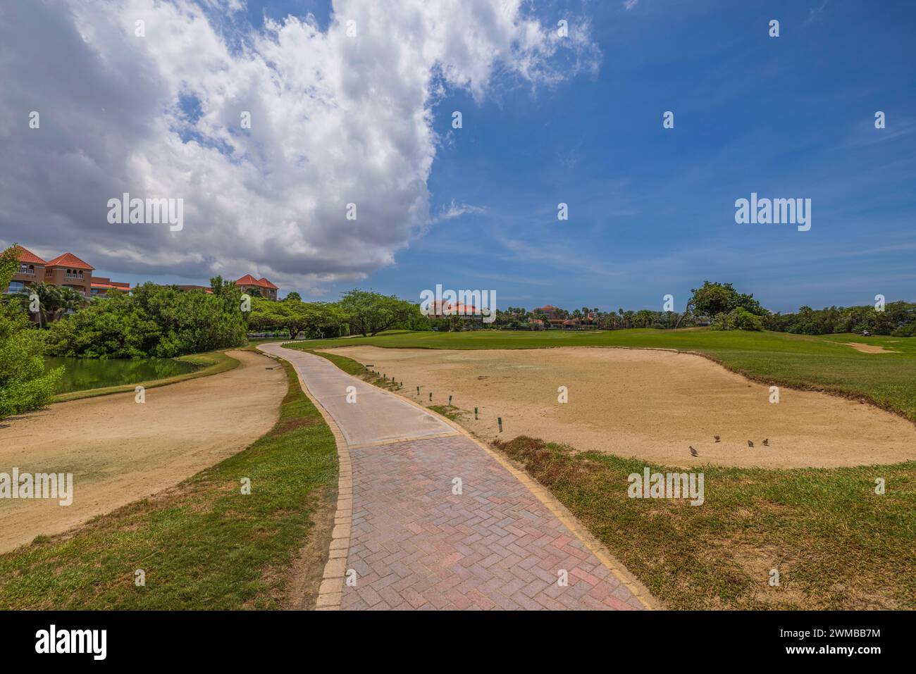Gorgeous tropical scenery featuring a golf course against the canvas of ...