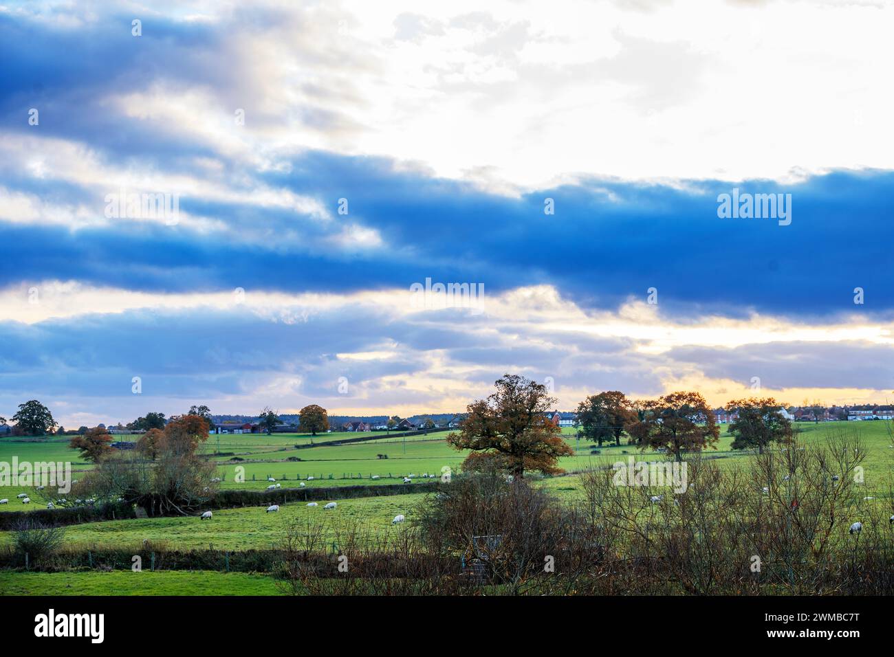 Aerial view flooded agricultural fields hi-res stock photography and ...