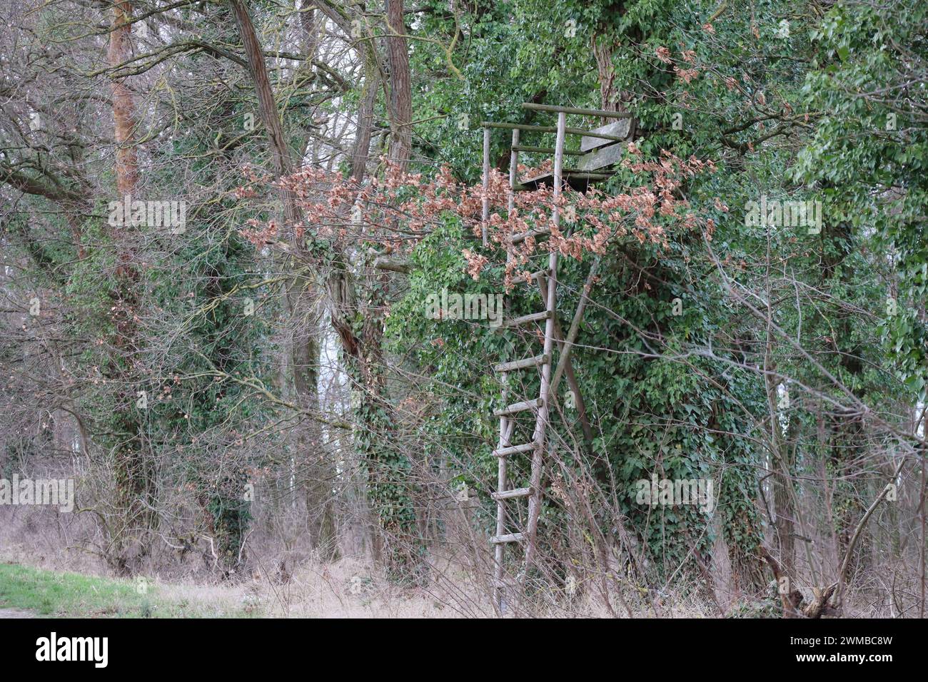 Perfect hunting overview hi-res stock photography and images - Alamy