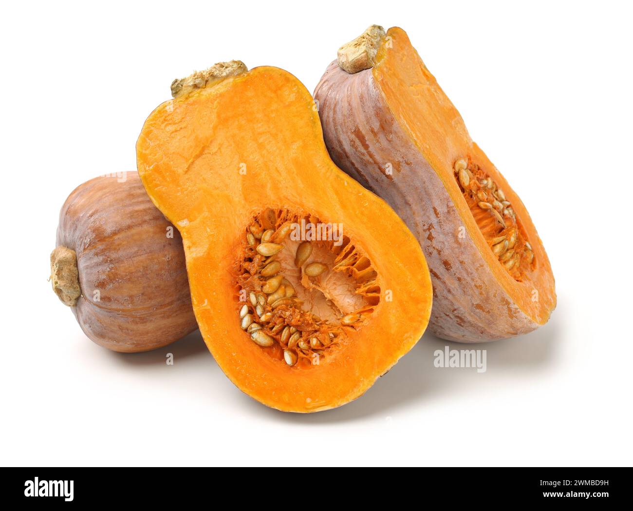 butternut squash isolated on white background Stock Photo - Alamy