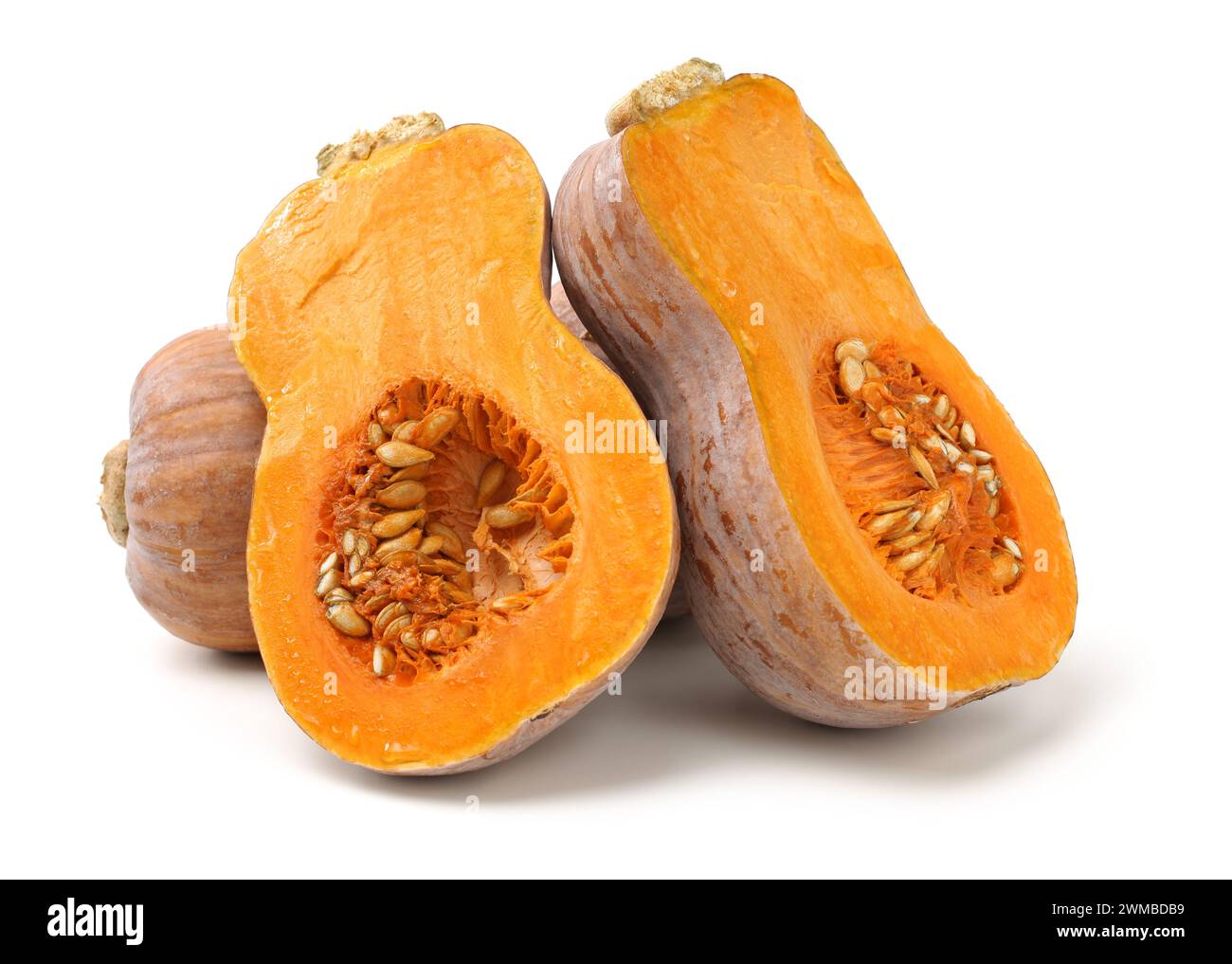 butternut squash isolated on white background Stock Photo - Alamy