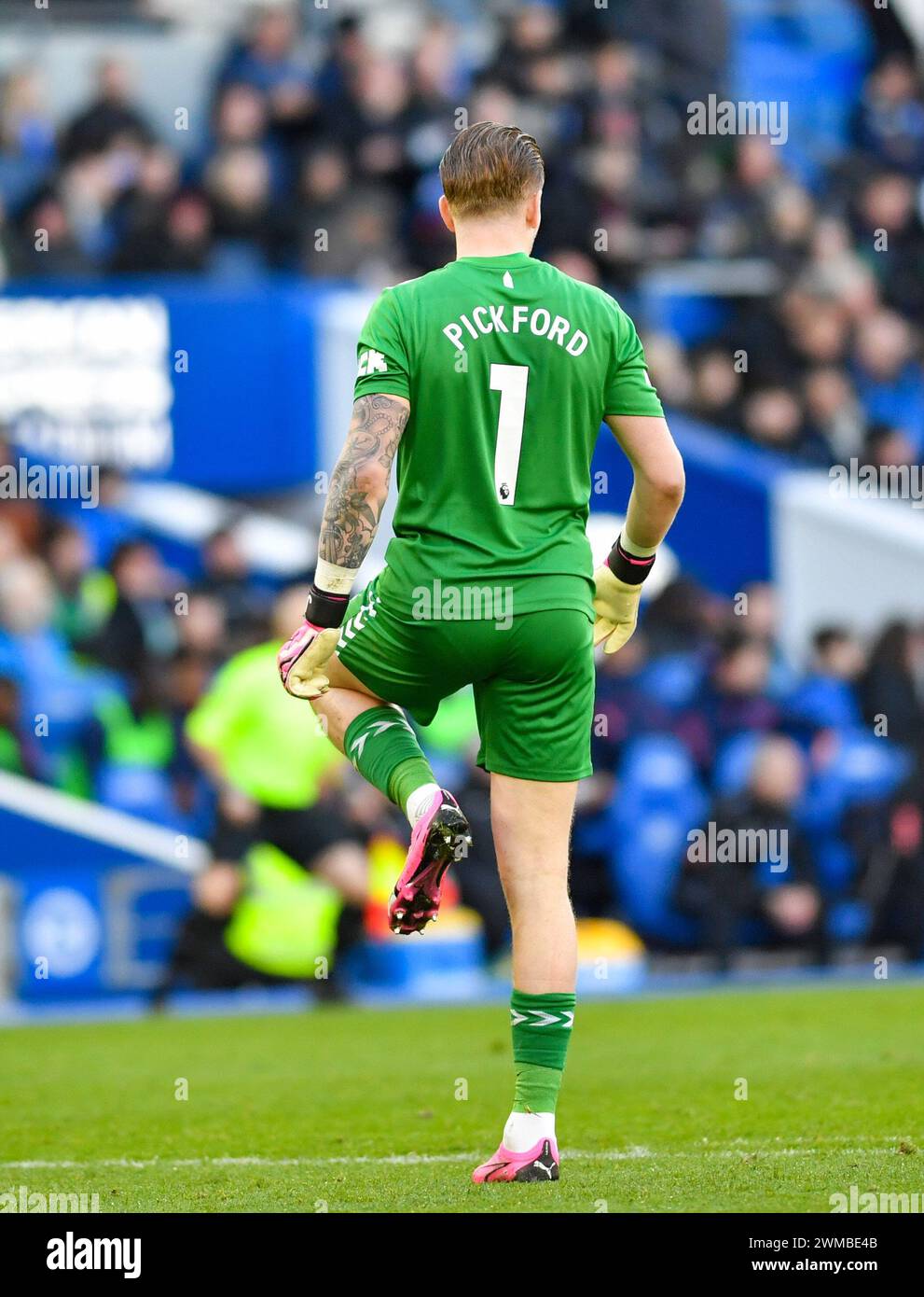 Jordan Pickford of Everton during the Premier League match between ...