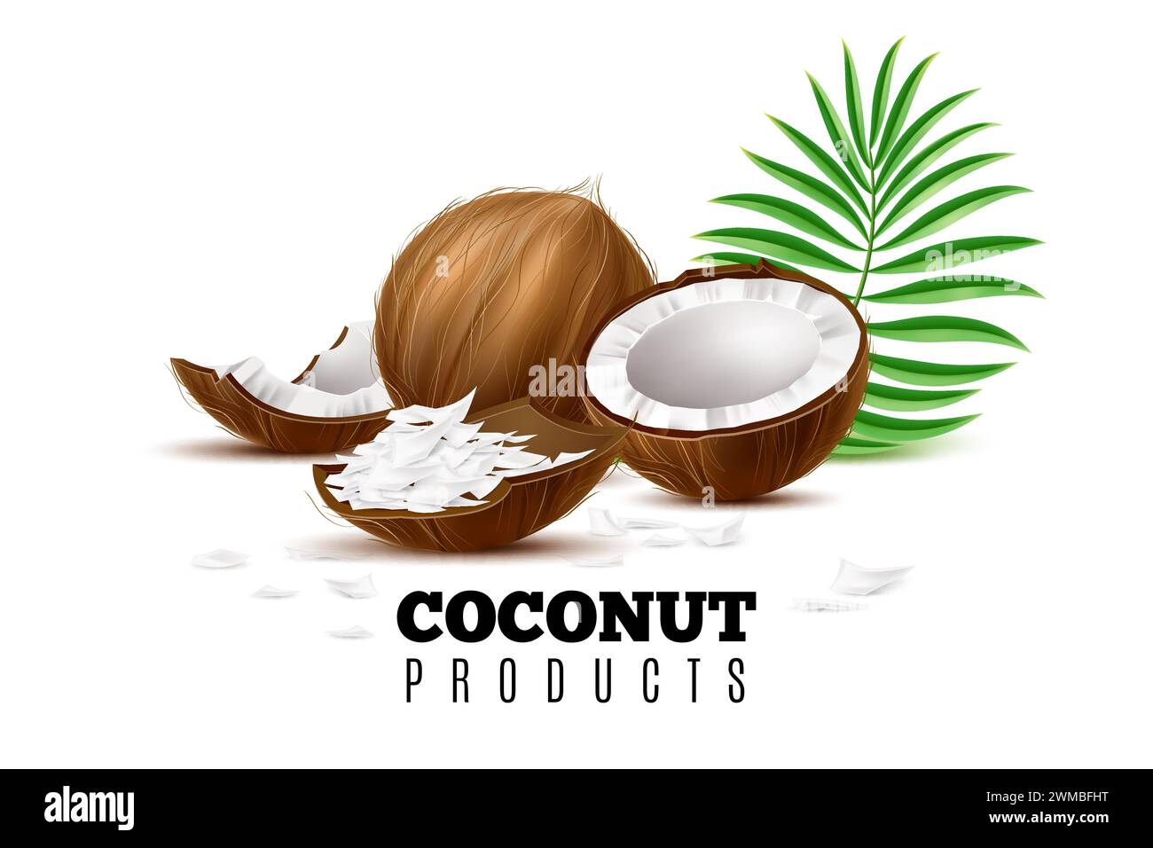 Coconut products. Whole, half and pieces nut. Green palm leaf. Food and ...