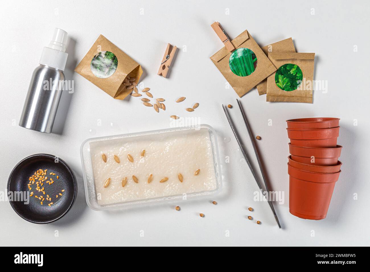 Planting vegetable seeds on a white background. Close-up. Packets of ...