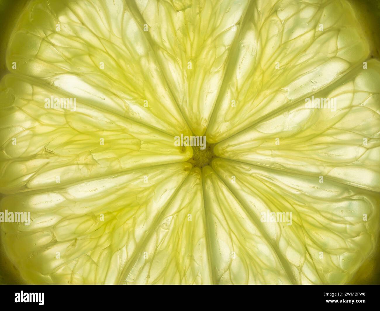 Slices of fresh juicy green lime fruit. Cut texture. Flat lay, top view ...