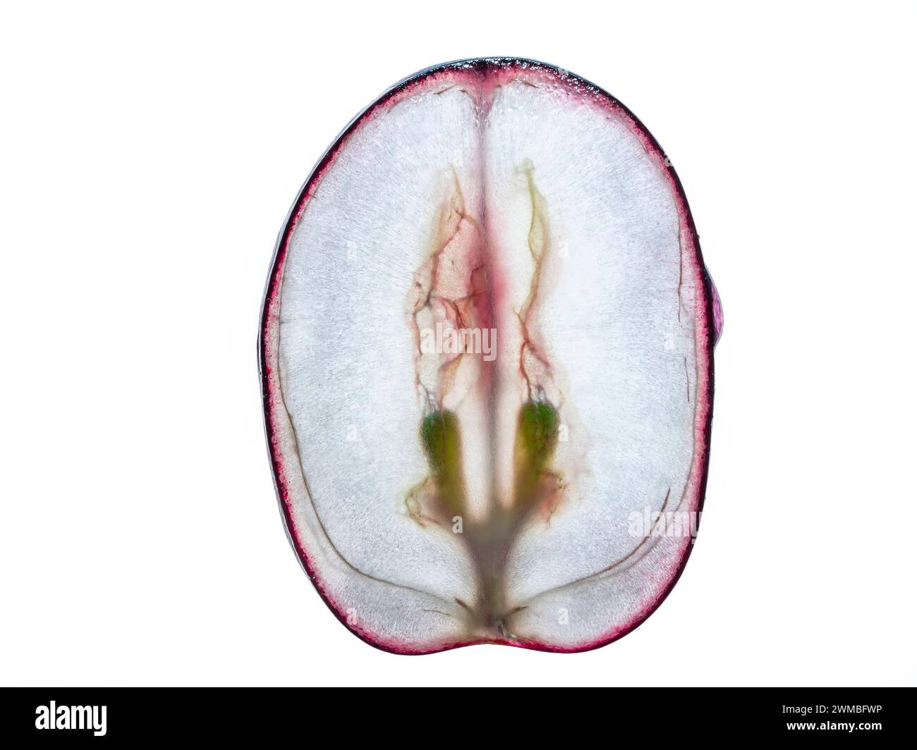 Translucent slice of a blue grape macro. Isolated on white background ...