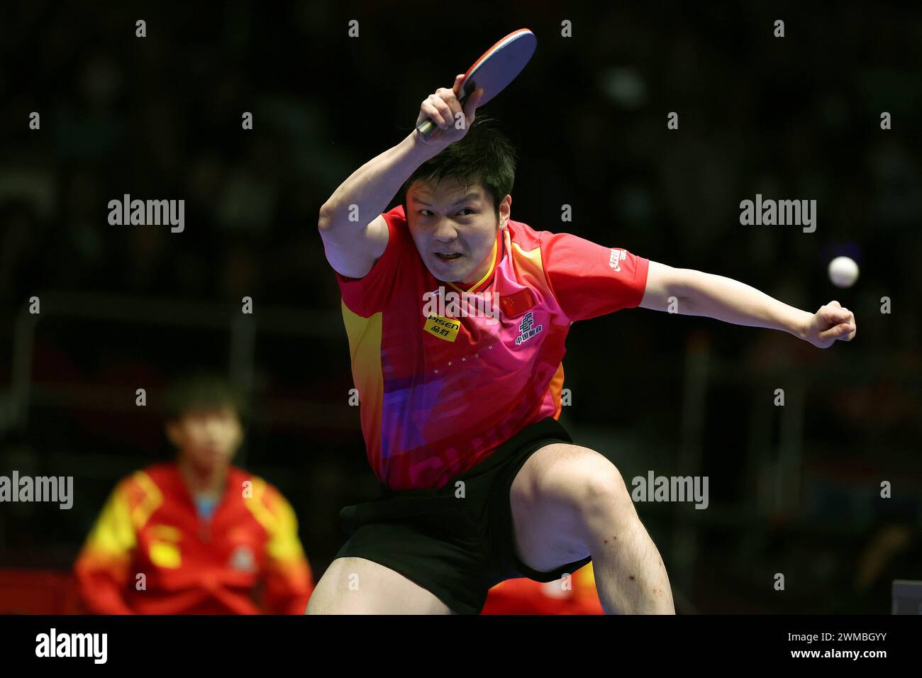 Busan, South Korea. 25th Feb, 2024. Fan Zhendong of China hits a return to Alexis Lebrun of ...