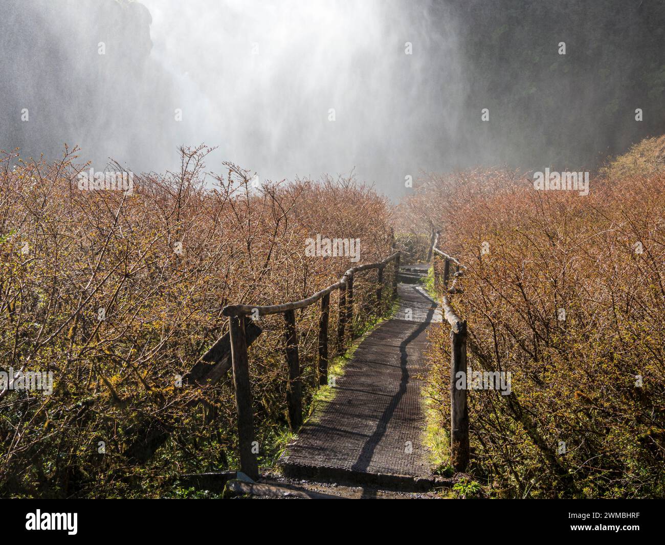 Waterfall Salto El Leon , path leading behind water veil, valley of ...