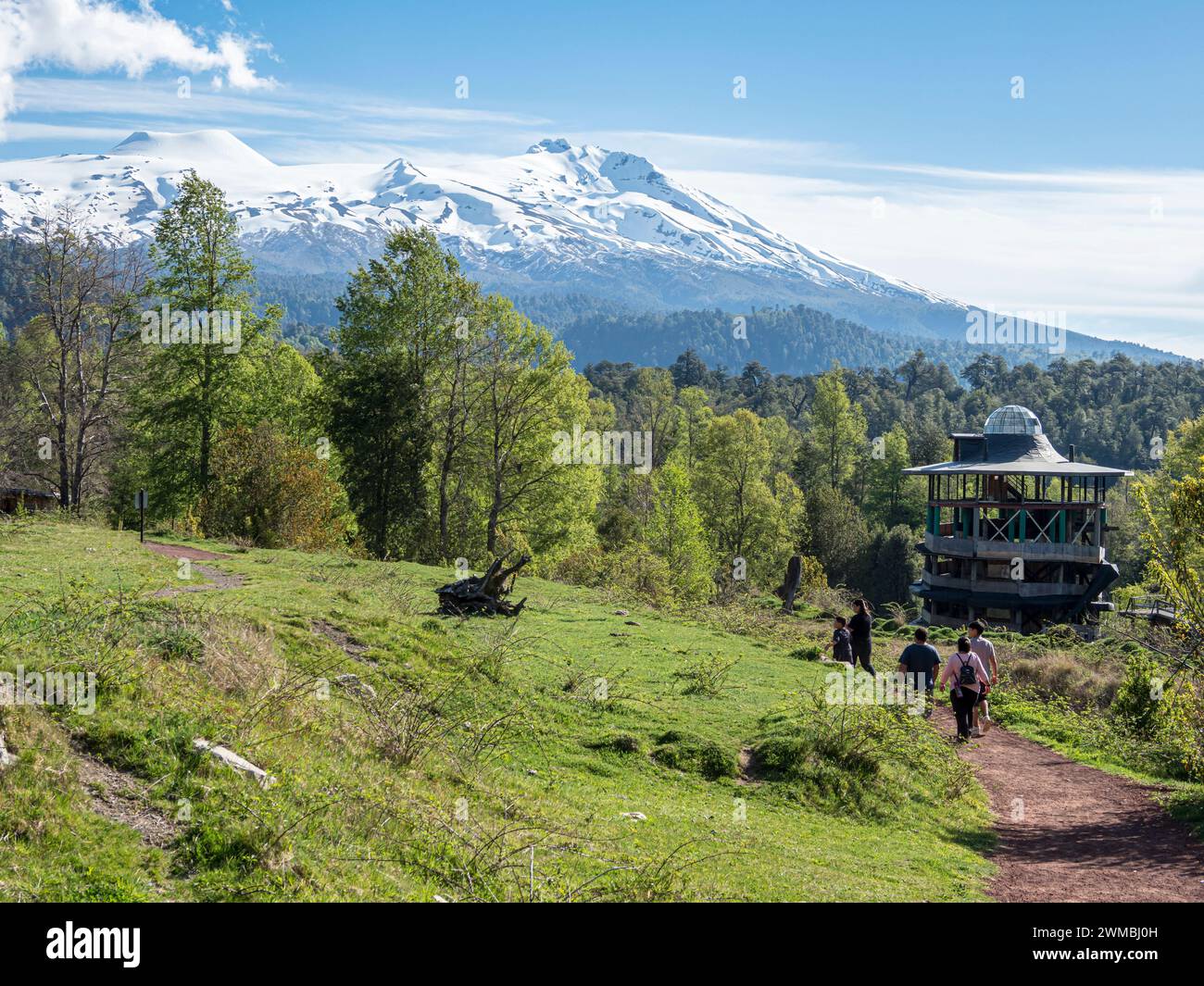 Huilo huilo nacional reserve hi-res stock photography and images - Alamy