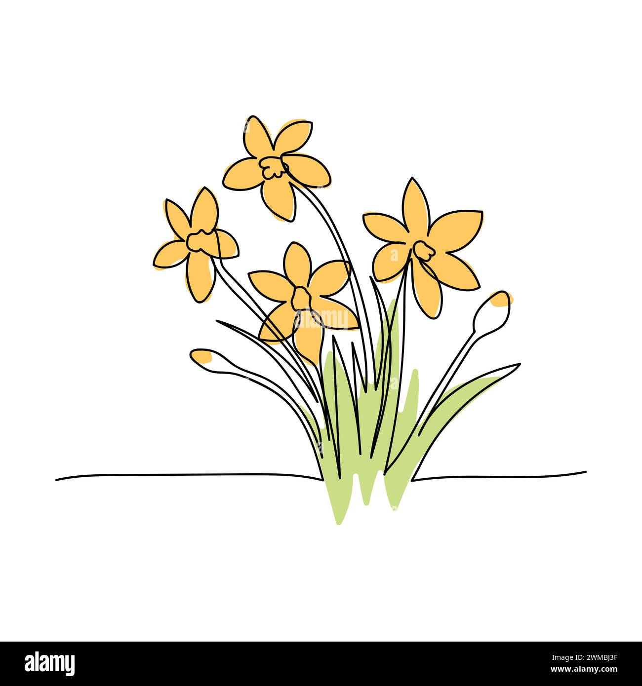line art, bouquet of flowers narcissus spring and summer, drawing with ...