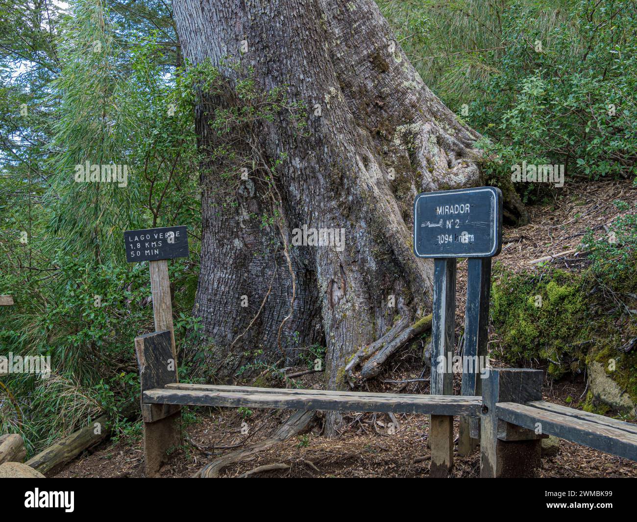 Parque nacional huerquehue chile hi-res stock photography and images ...