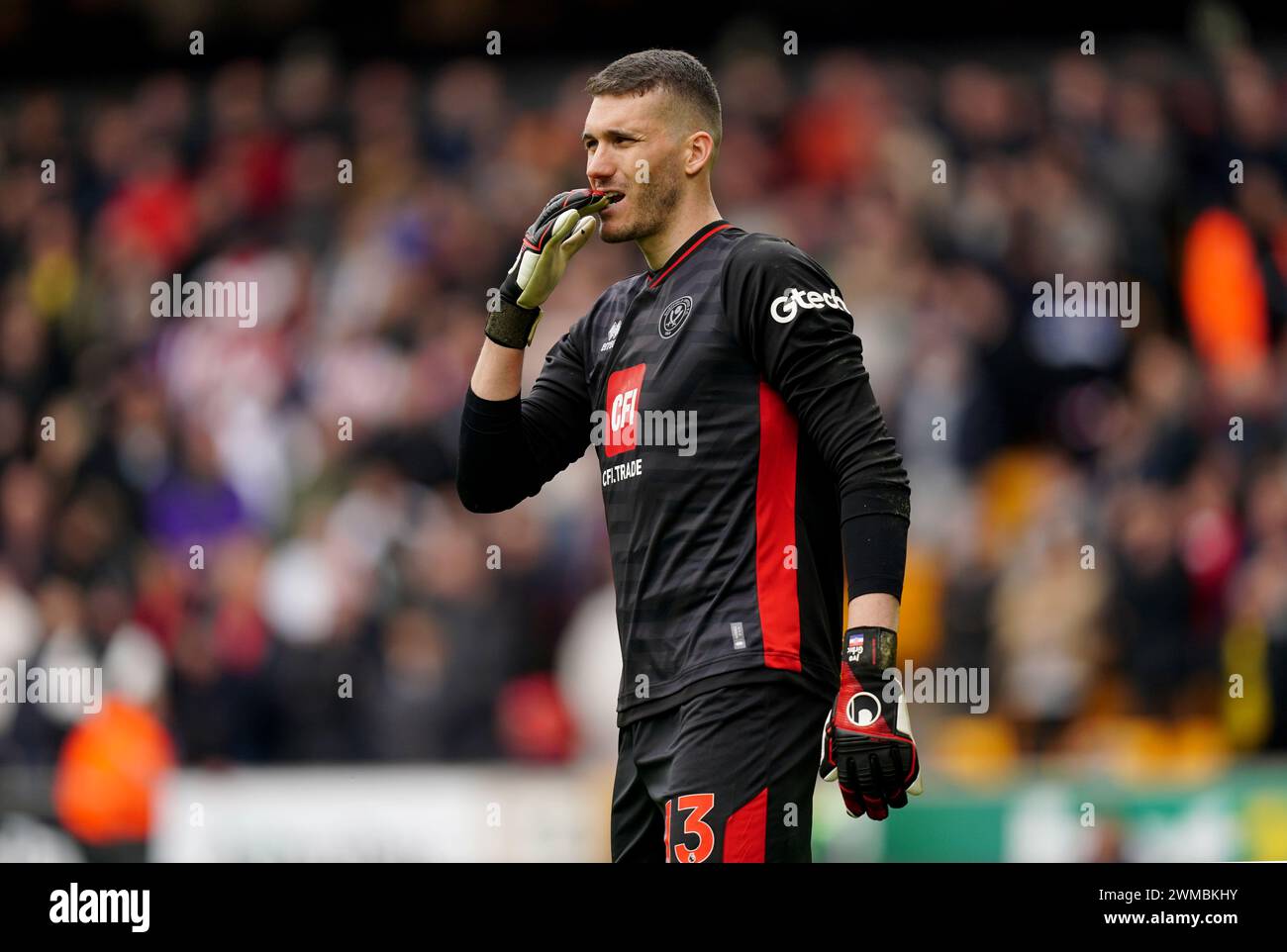 Sheffield United goalkeeper Ivo Grbic during the Premier League match ...