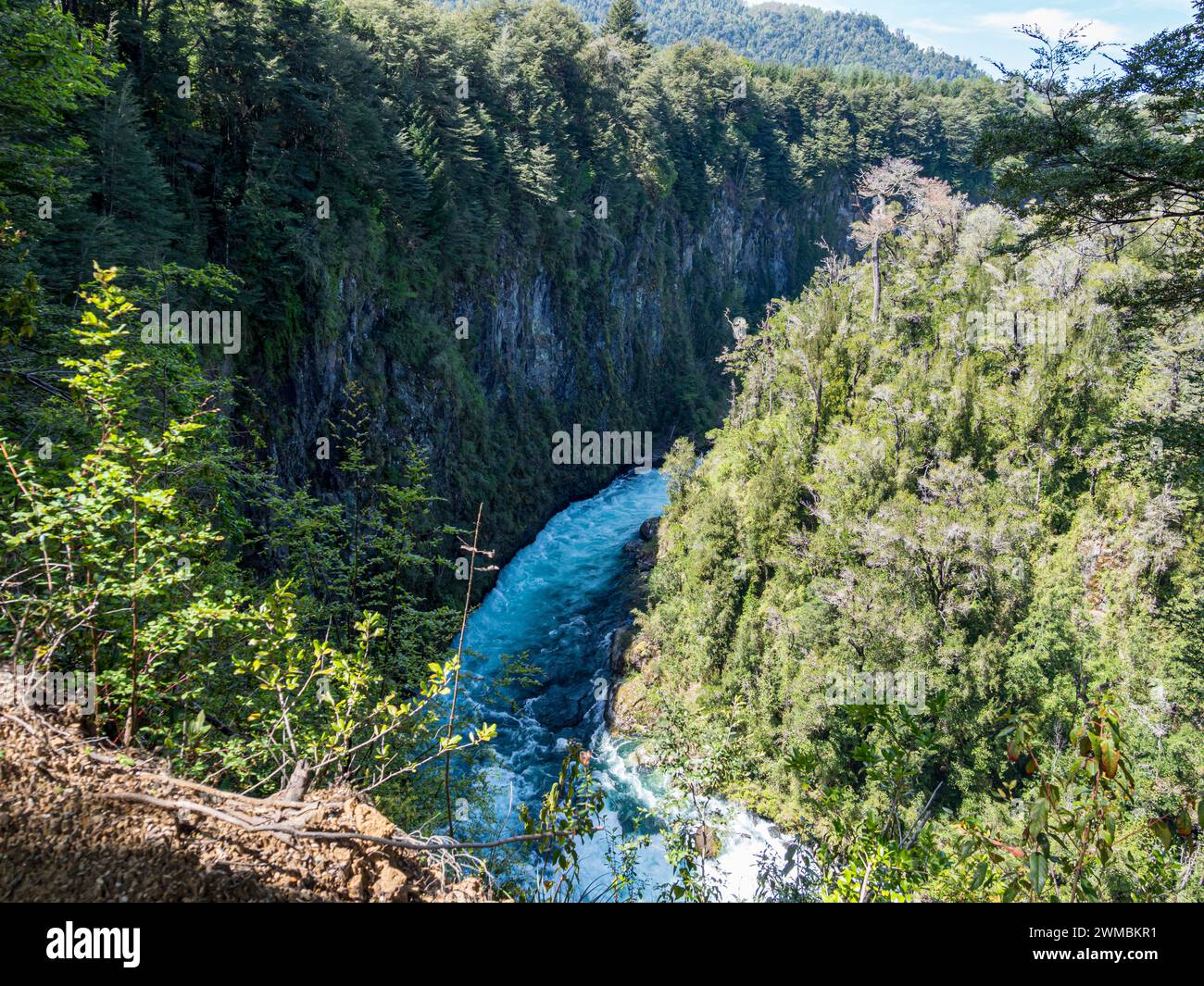 River Rio Tuful flowing in a canyon, Reserva Biológica Huilo Huilo ...