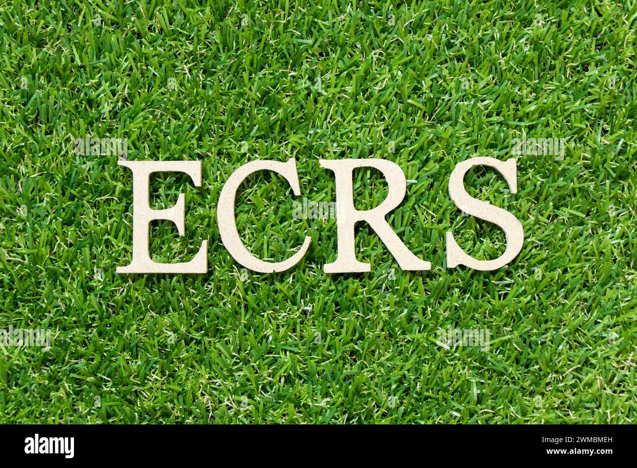 Wood letter in word ECRS (Abbreviation of Eliminate, Combine, Rearrange ... Wood letter in word ECRS (Abbreviation of Eliminate, Combine, Rearrange ...