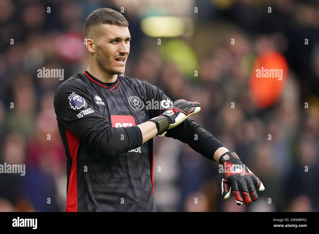 Sheffield United goalkeeper Ivo Grbic during the Premier League match ...