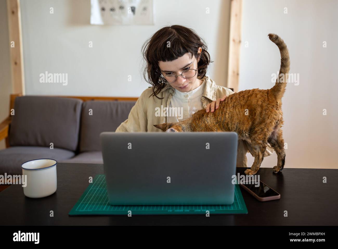 Interested cat looking at screen owner laptop young woman distracting ...
