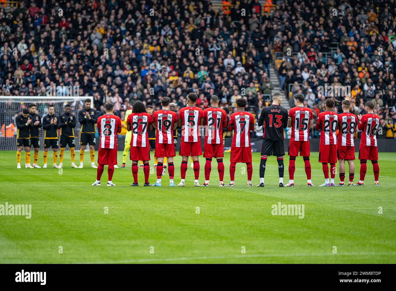 Paul bradshaw wolves hi-res stock photography and images - Alamy