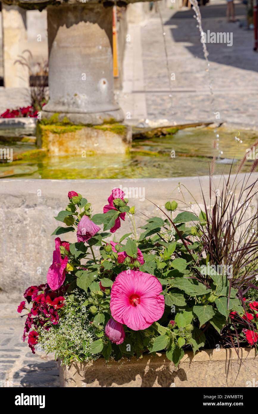 Typical Provencal architecture, Puimichel, Provence, France Stock Photo ...