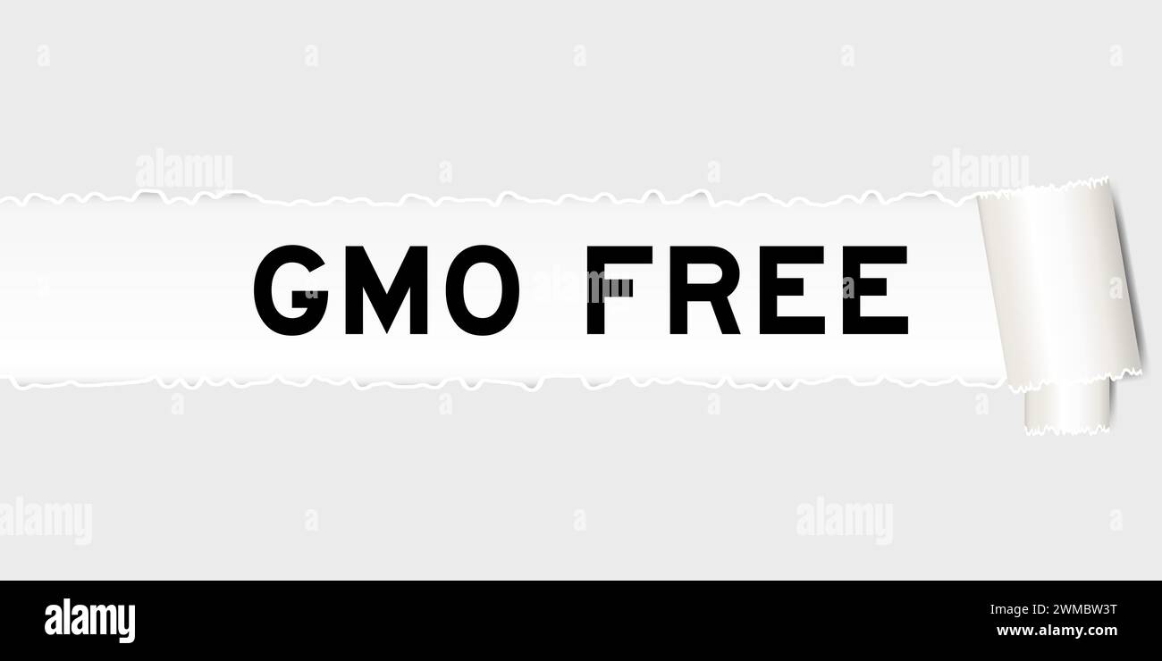Ripped gray paper background that have word GMO (abbreviation of ...