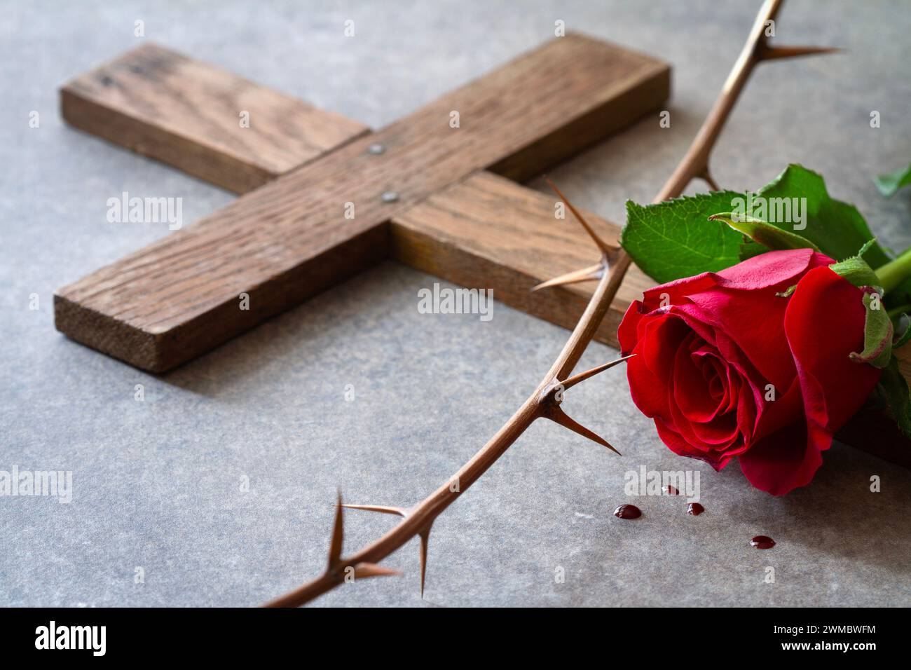 Rose With Thorns Symbolism