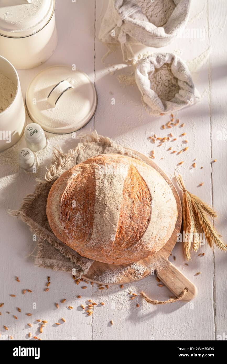 Crispy round loaf bread baked in a bright rustic kitchen. Rustic loaves ...