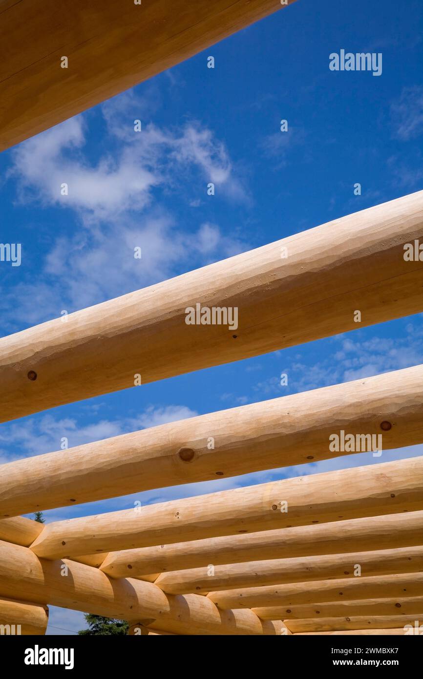Row of Eastern white pine logs to support the floor on unfinished ...